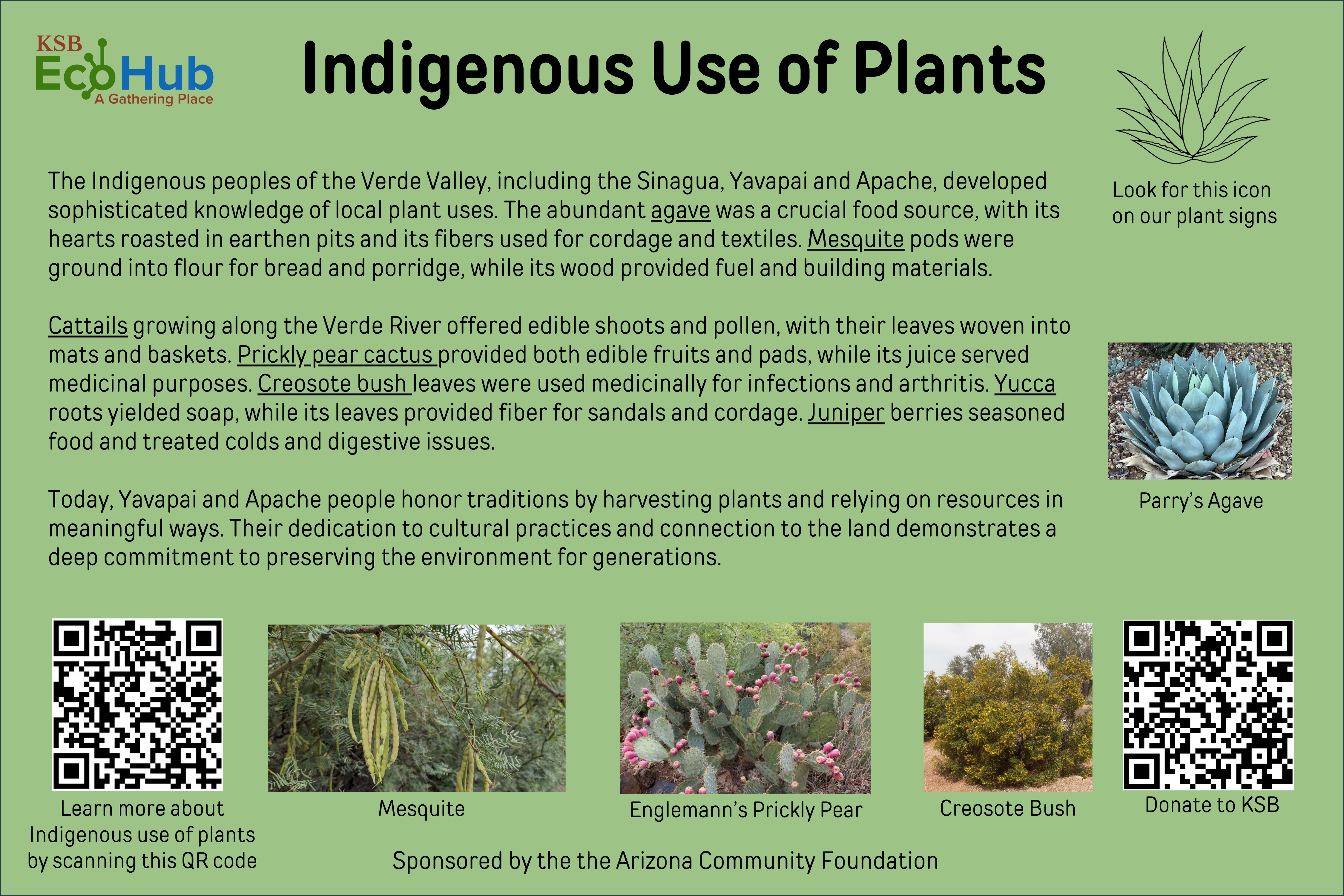 Indigenous Uses of Plants – Keep Sedona Beautiful