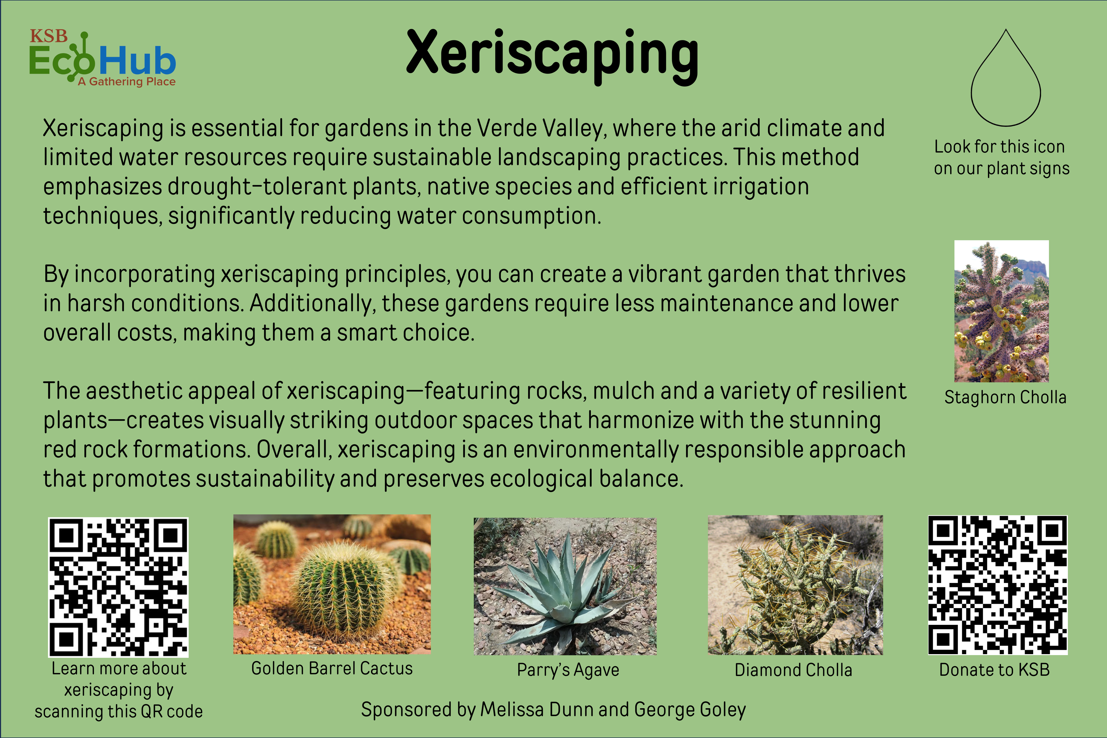 Xeriscaping – Keep Sedona Beautiful