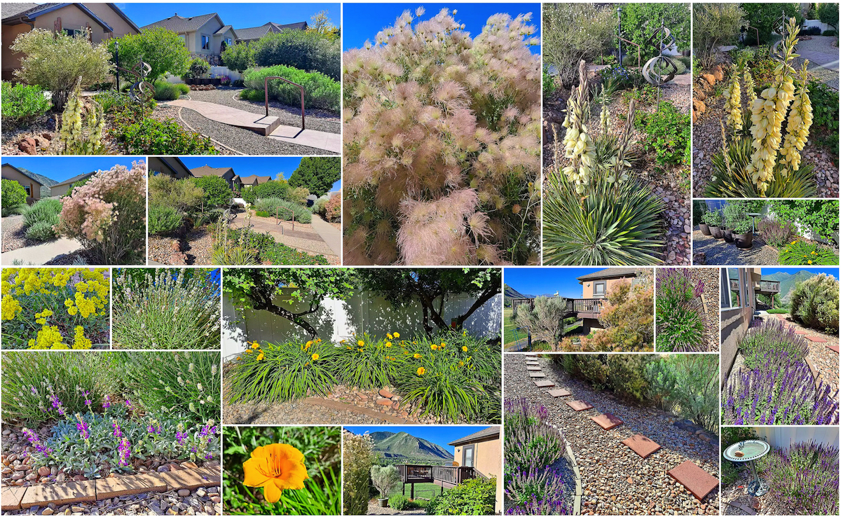 Xeriscaping – Keep Sedona Beautiful